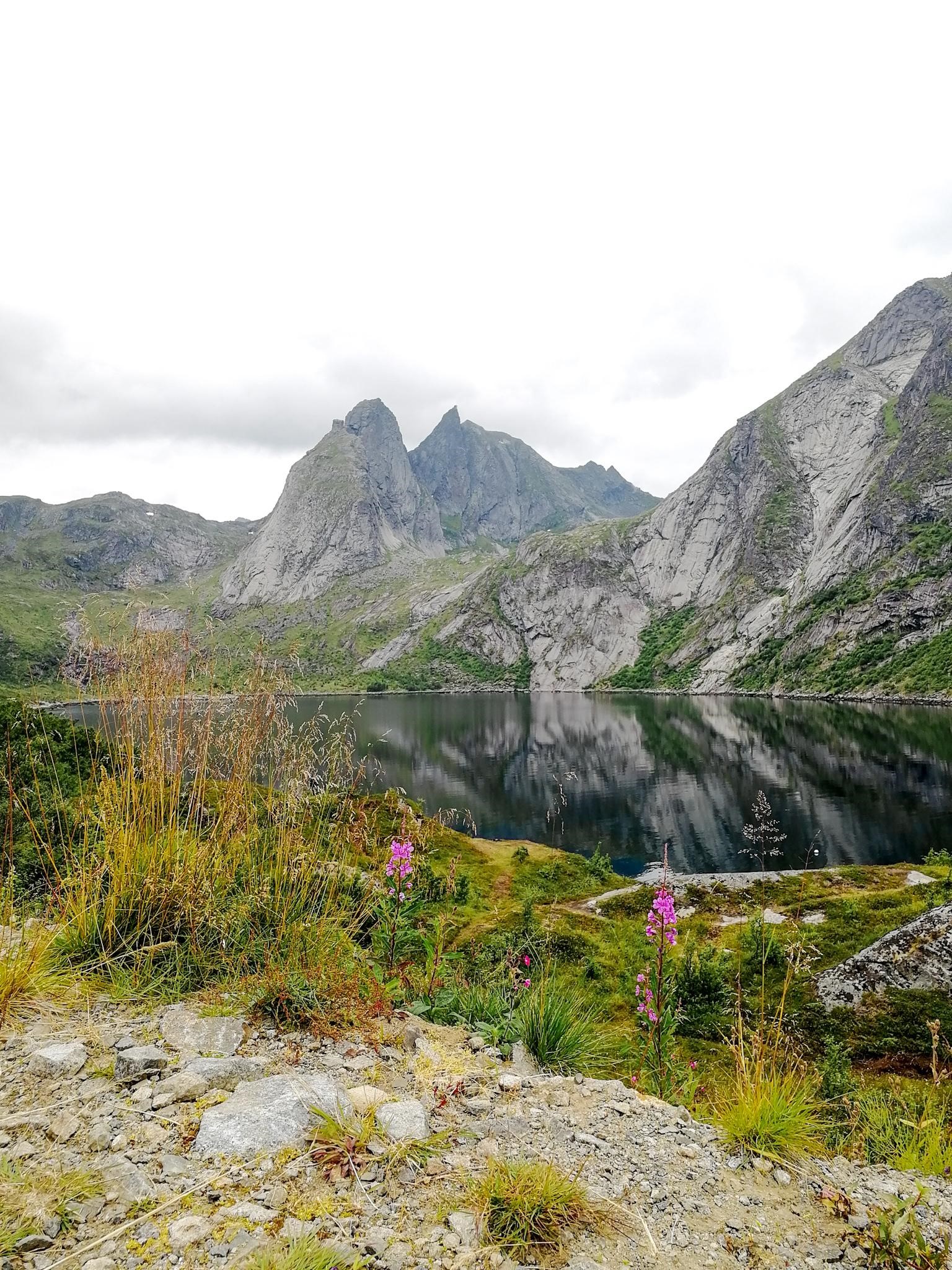 Die malerische Welt der Lofoten › laechelndekreuzfahrer